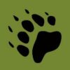 Regular Events – Bears Christchurch
