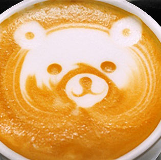 Bears Christchurch – The home of Christchurch Bears